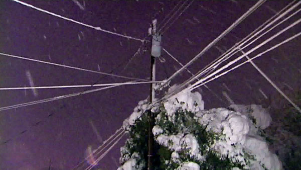 Wind, ice and snow pose threat to power lines | wfaa.com