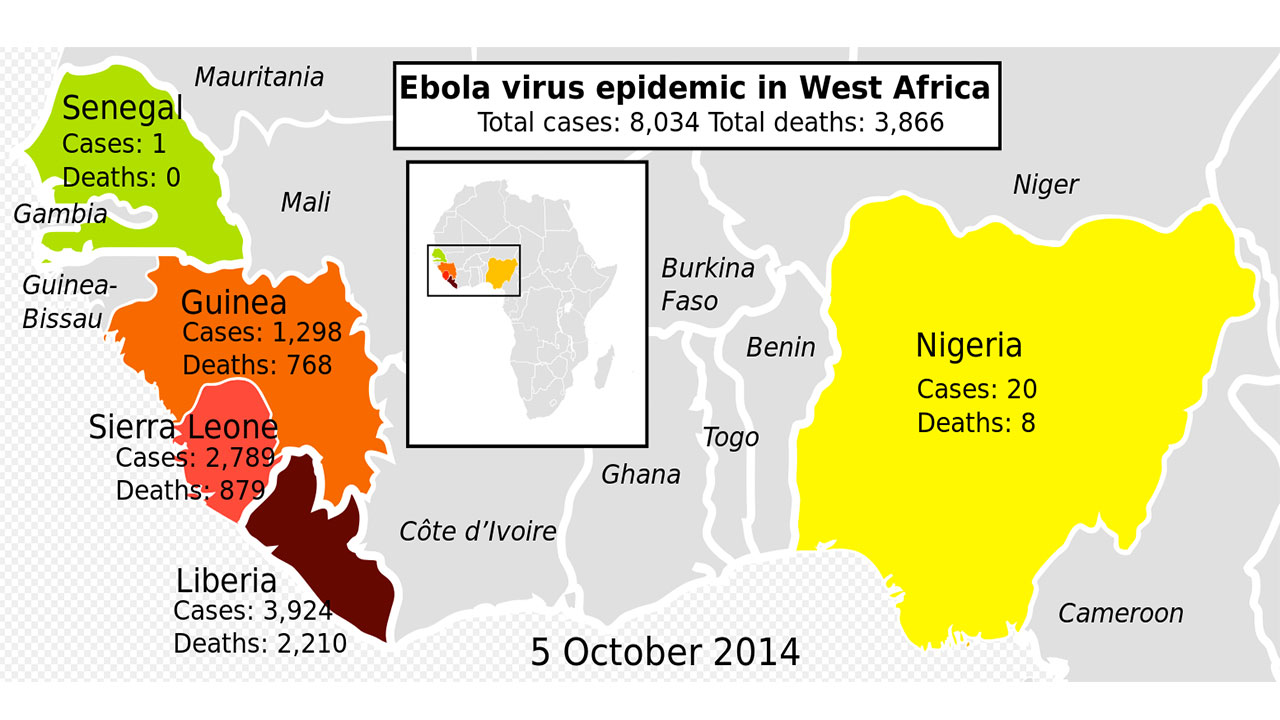 Top 10 Ebola charts | wfaa.com