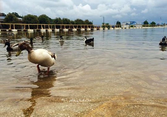 Joe Pool Lake to reopen just in time for Labor Day | wfaa.com