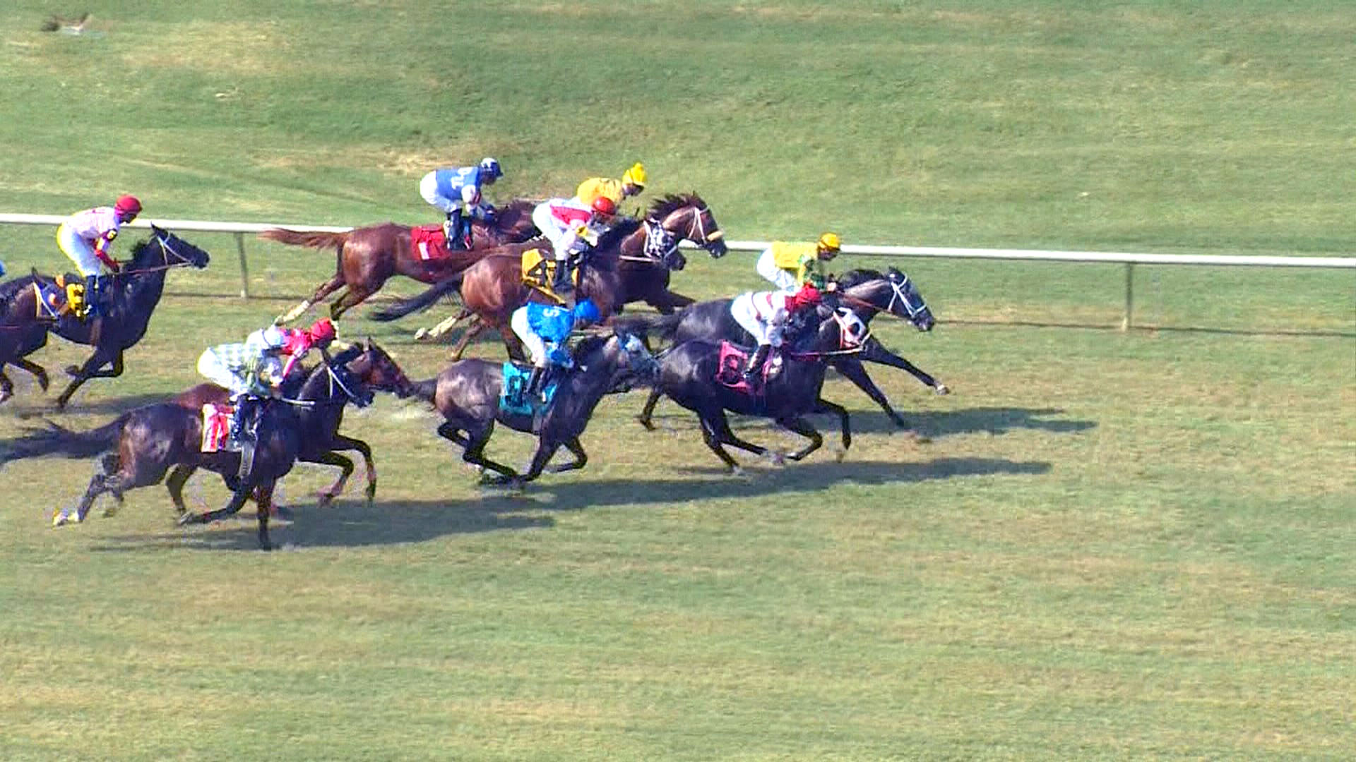 Texas horse tracks are back in business | wfaa.com