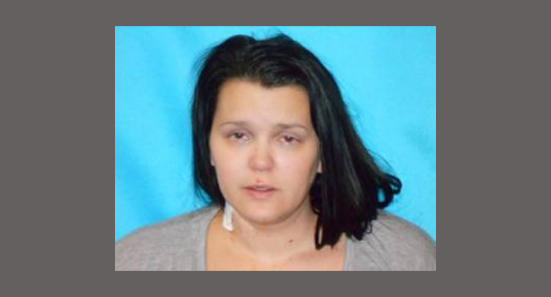 Affidavit: Woman stabs boyfriend's mom 36 times | wfaa.com