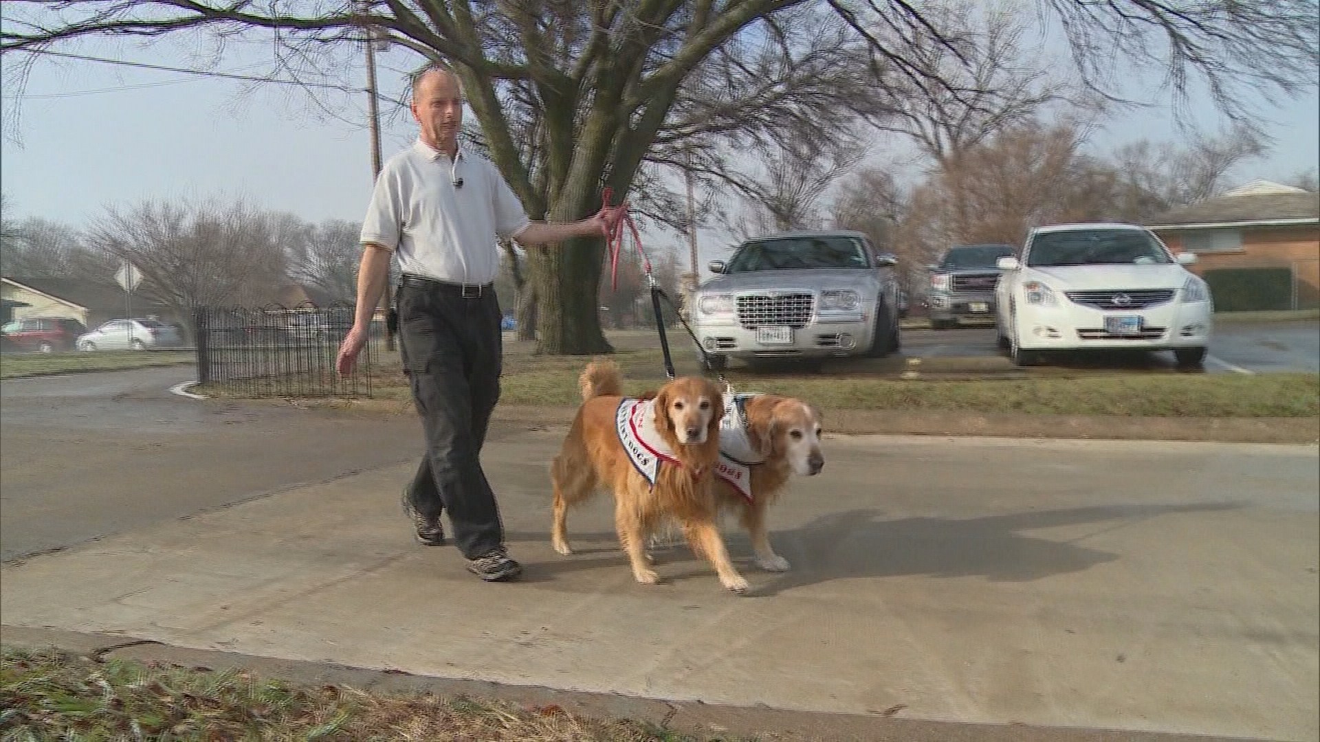 Man and his dogs travel country providing comfort in times of tragedy ...