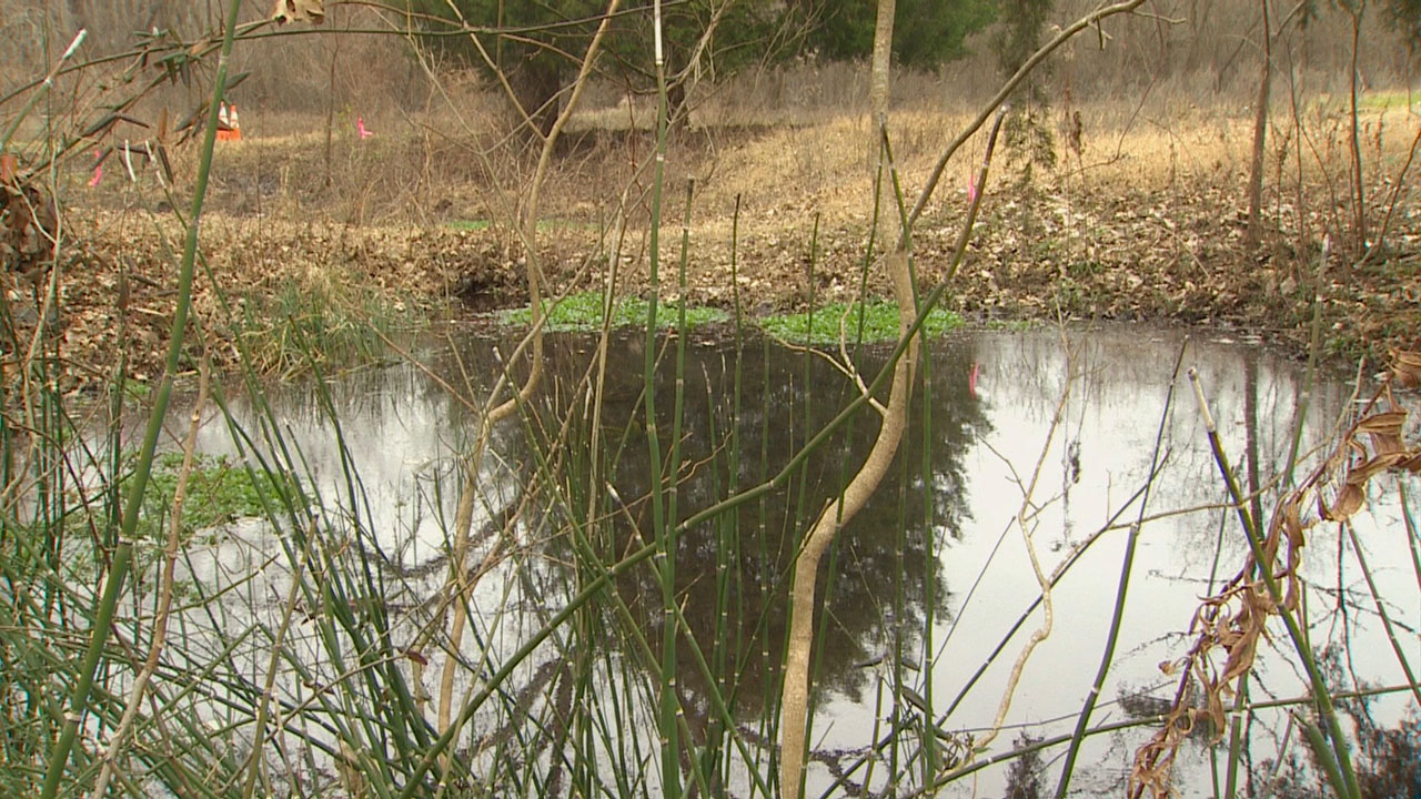 Dallas moves to preserve natural landmark | wfaa.com