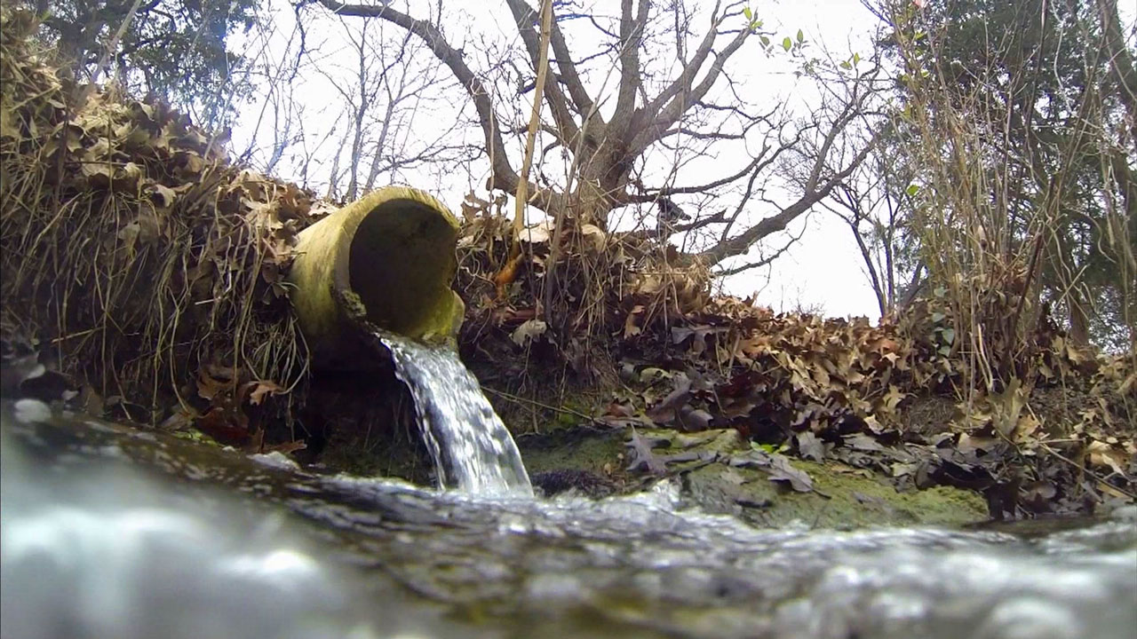 Dallas moves to preserve natural landmark | wfaa.com