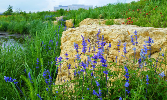 Bluestem Park at Alliance Town Center set to open Saturday | wfaa.com