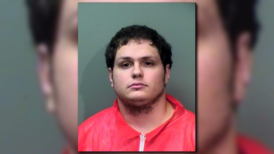 Mentally ill son admitted to stabbing mom more than 50 times | wfaa.com