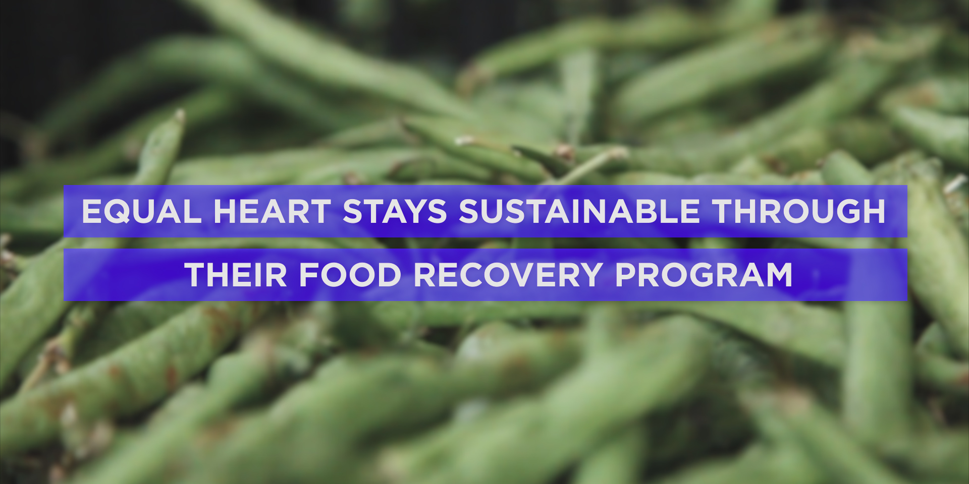 Equal Heart's innovative mobile food pantry is helping feed thousands ...